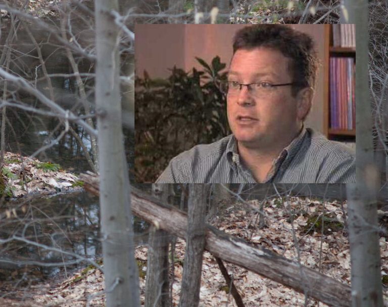 The Ecological Disaster of Perpetual-Growth Economics | Vermont Family ...