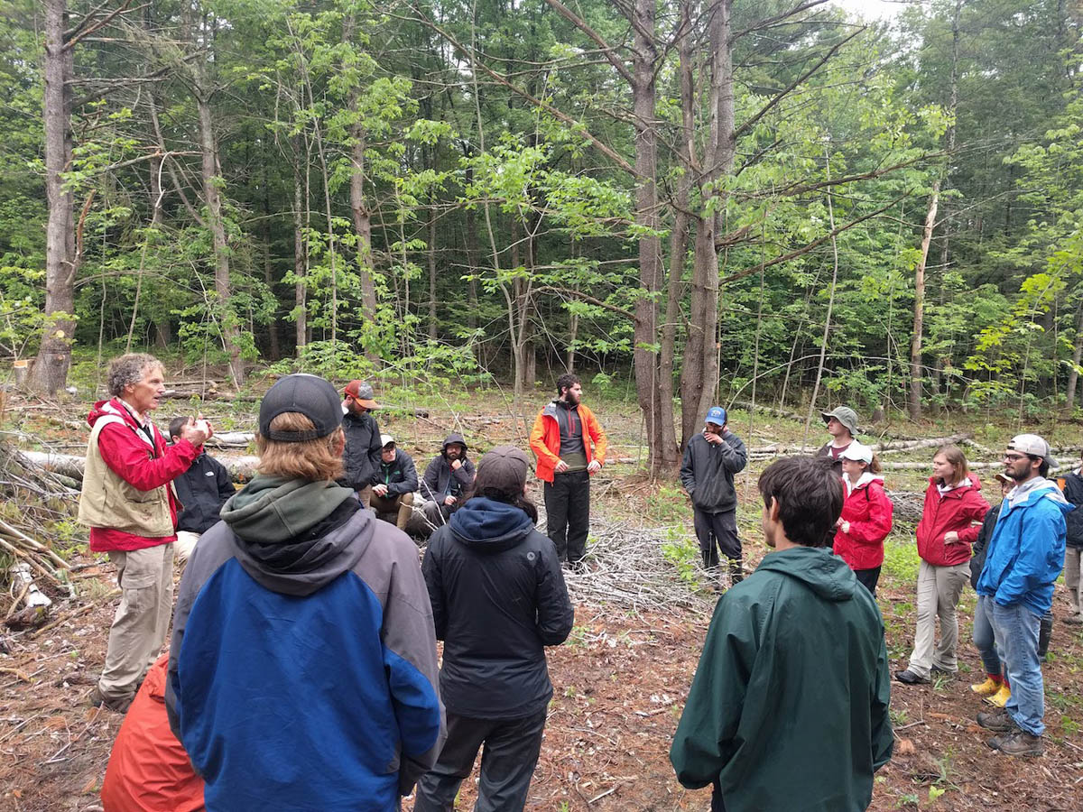A Day in the Woods with UVM’s Forestry Summer Camp | Vermont Family Forests